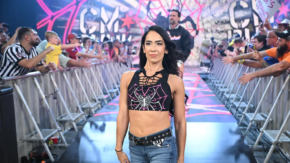 AJ Lee Reveals Fear She Had Before WWE Return